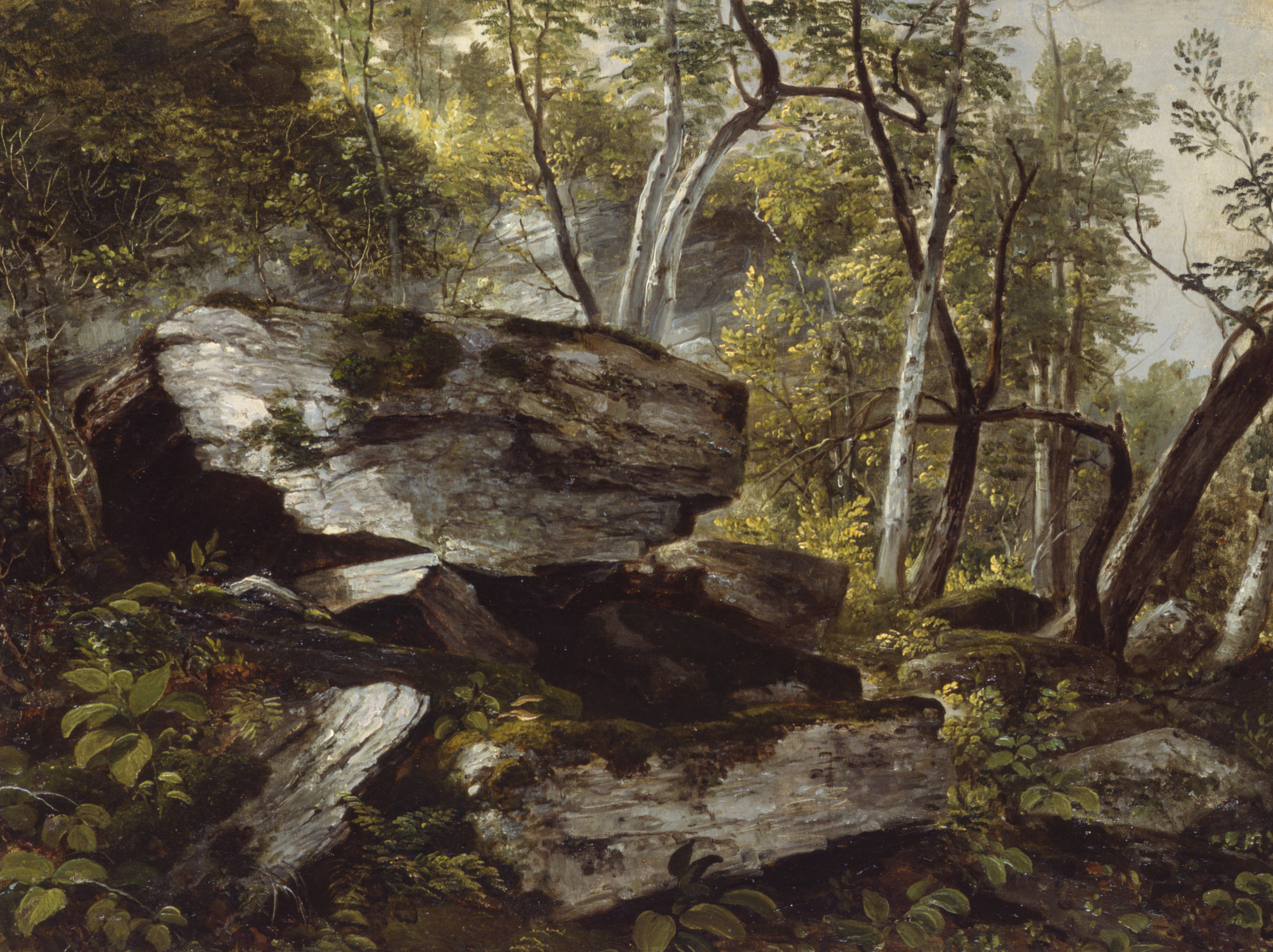 Order - American Landscapes